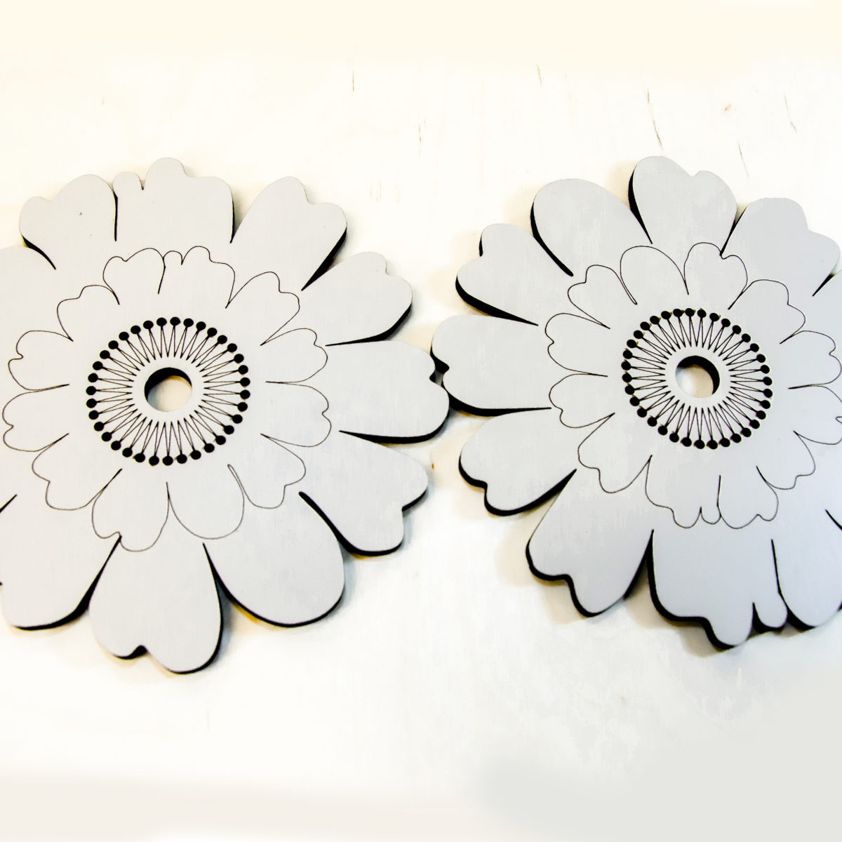Protea Coasters – Round Cut-out - KOKA Living